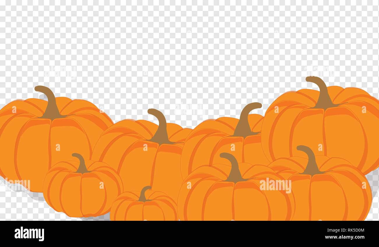 Autumn vector orange pumpkins horizontal banner design template for ...