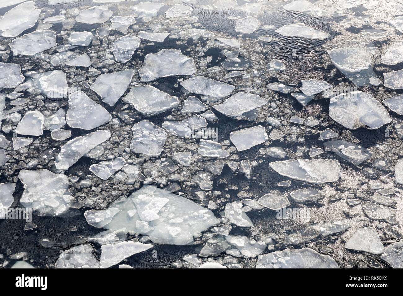Ice sheets float in ice cold Baltic sea Stock Photo - Alamy