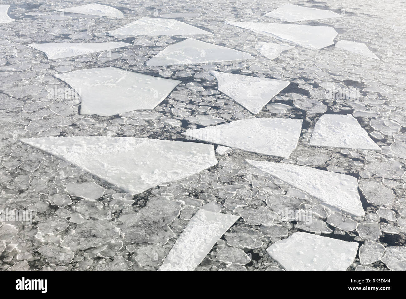 Ice sheets float in ice cold Baltic sea Stock Photo - Alamy