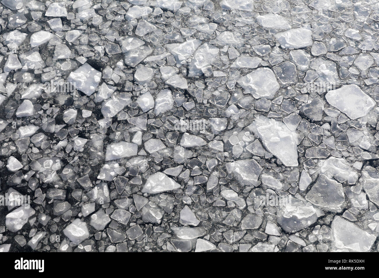 Ice sheets float in ice cold Baltic sea Stock Photo - Alamy