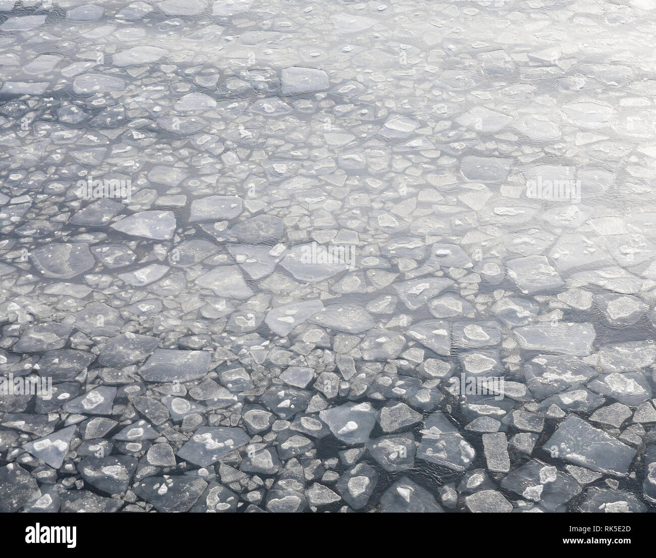 Ice sheets float in ice cold Baltic sea Stock Photo - Alamy