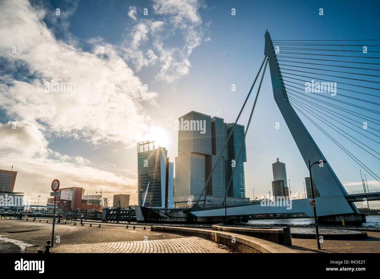 Erasmus bridge landmark in Rotterdam Stock Photo - Alamy