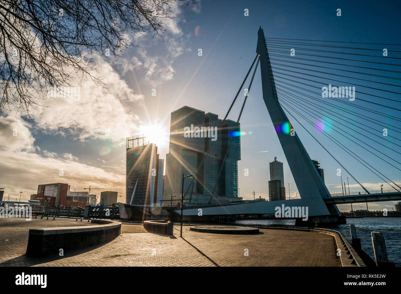 Erasmus bridge landmark in Rotterdam Stock Photo - Alamy