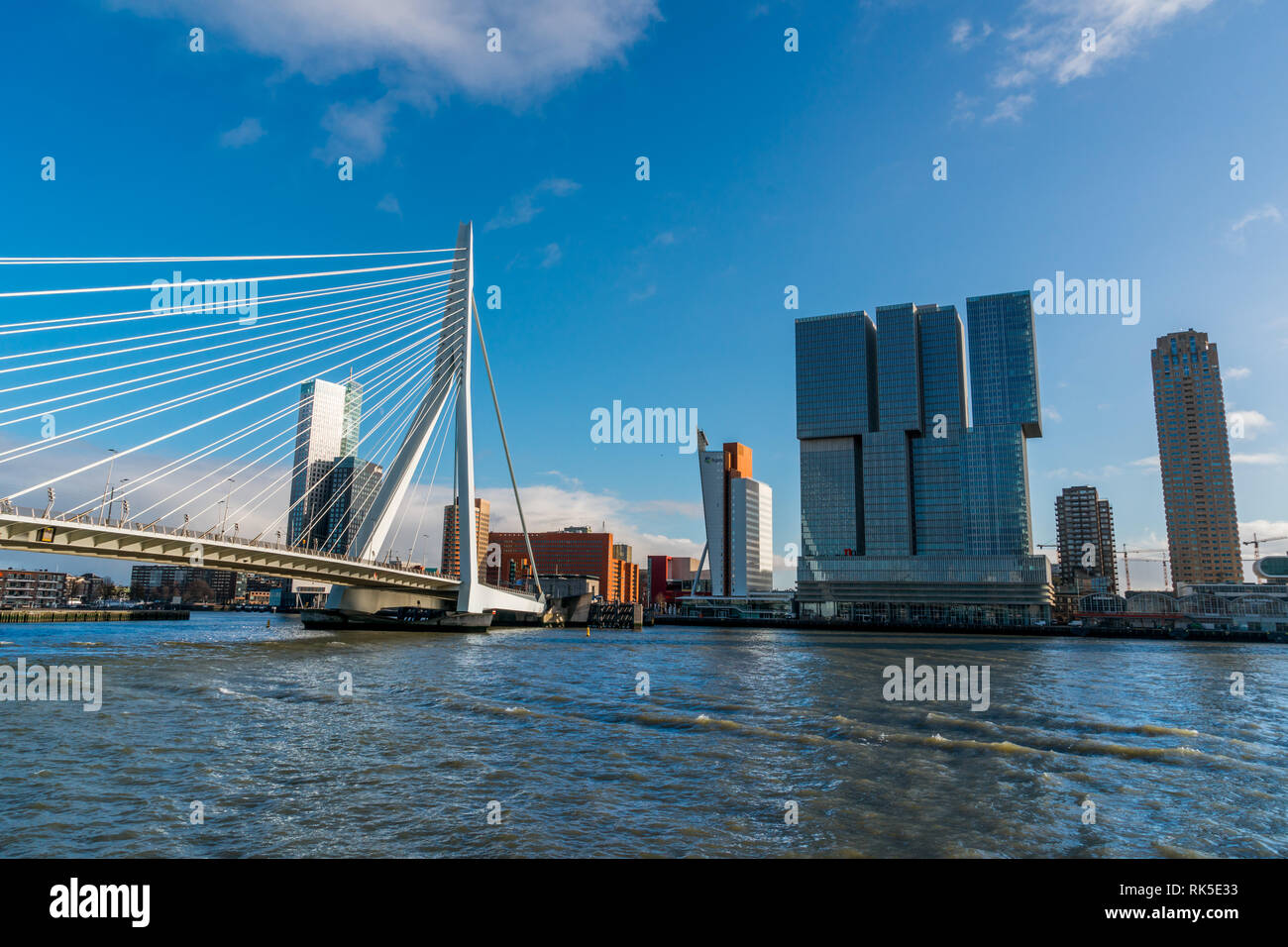 Erasmus bridge landmark in Rotterdam Stock Photo - Alamy