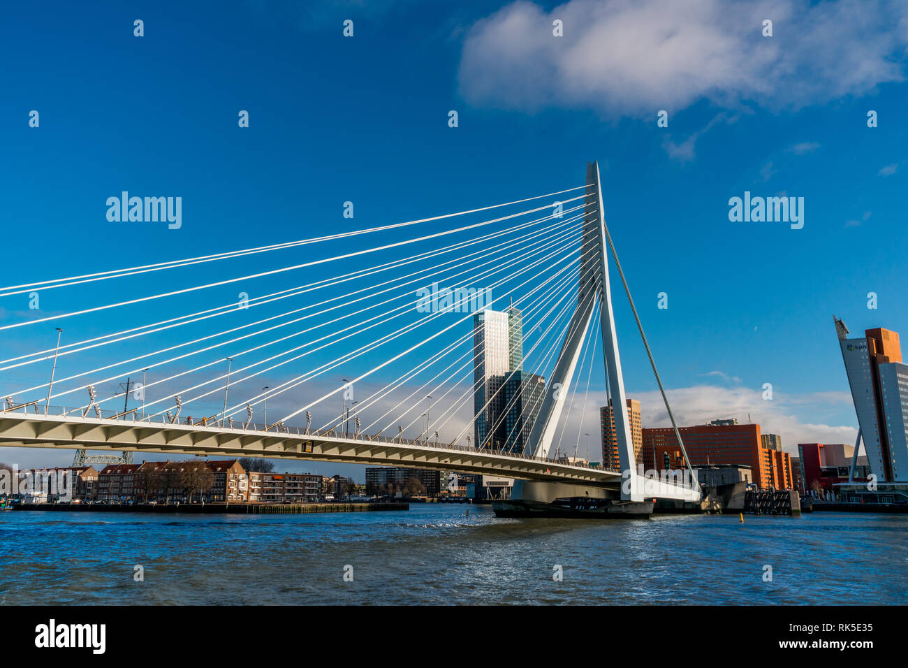 Erasmus bridge landmark in Rotterdam Stock Photo - Alamy