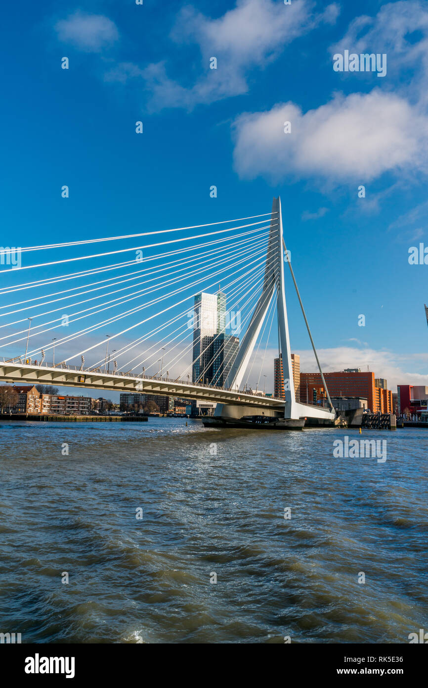 Erasmus bridge landmark in Rotterdam Stock Photo - Alamy