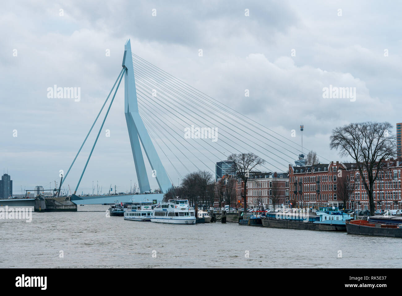 Erasmus bridge landmark in Rotterdam Stock Photo - Alamy