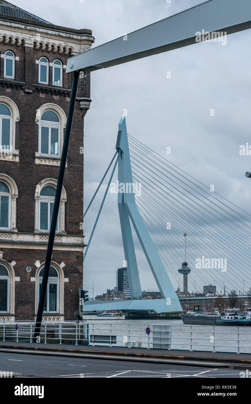 Erasmus bridge landmark in Rotterdam Stock Photo - Alamy