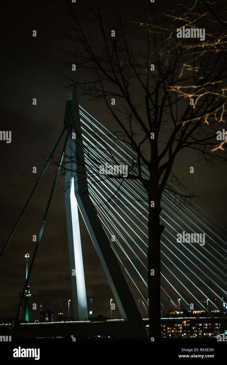 Erasmus bridge landmark in Rotterdam Stock Photo - Alamy