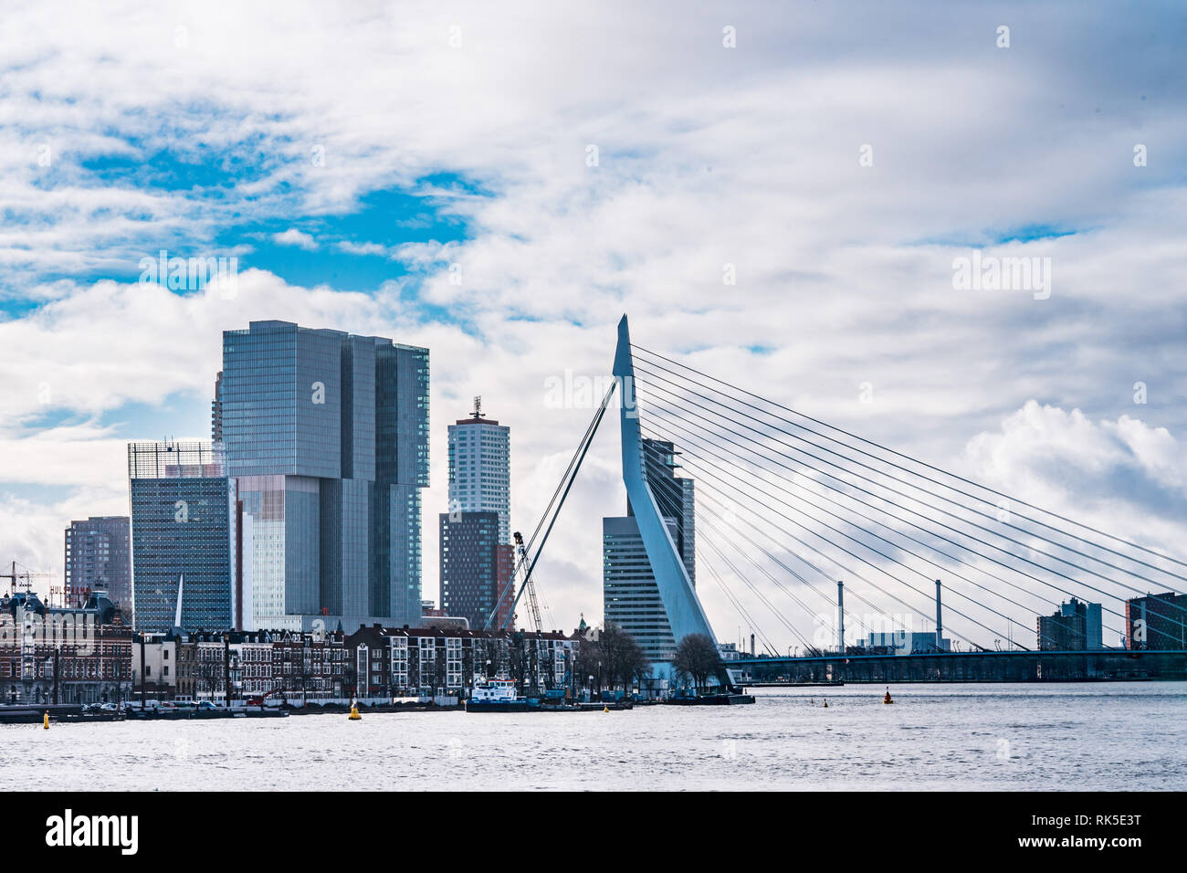 Erasmus bridge landmark in Rotterdam Stock Photo - Alamy