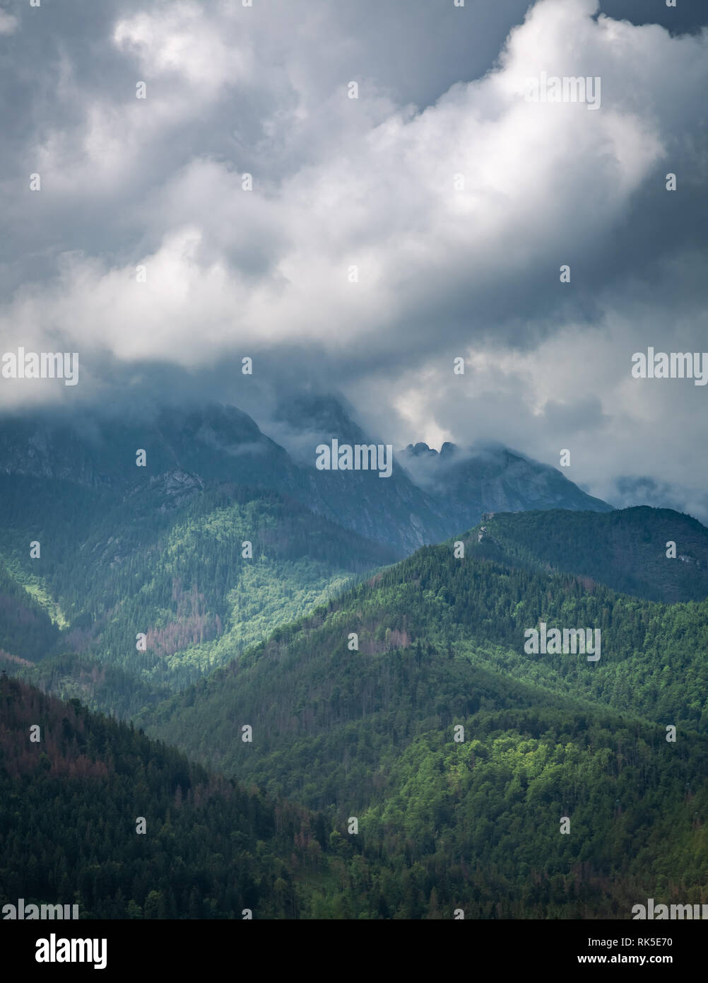 Cloudy mount Giewont and green forest in summer, Poland Stock Photo - Alamy