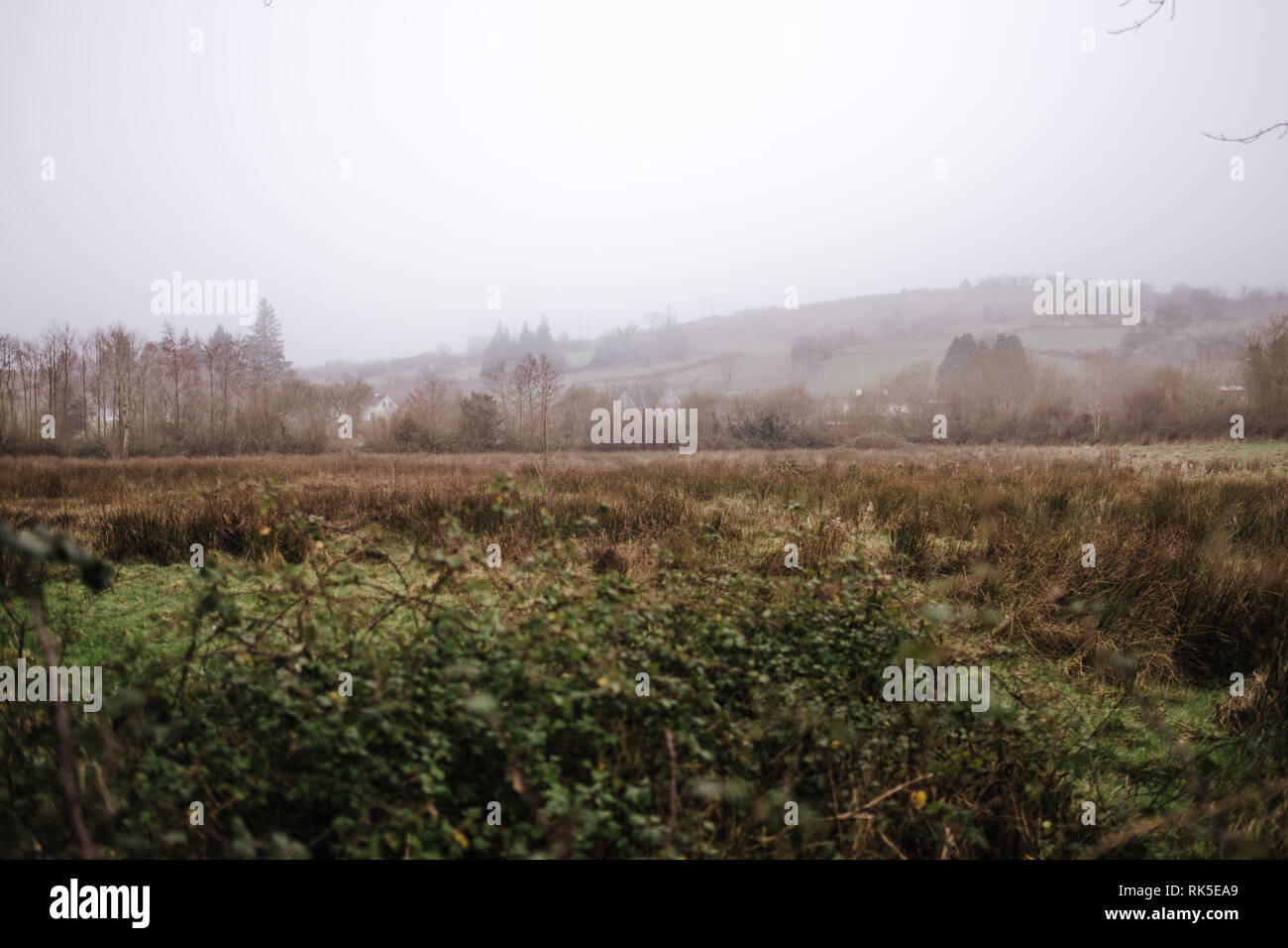 Foggy weather landscapes in Ireland Stock Photo - Alamy