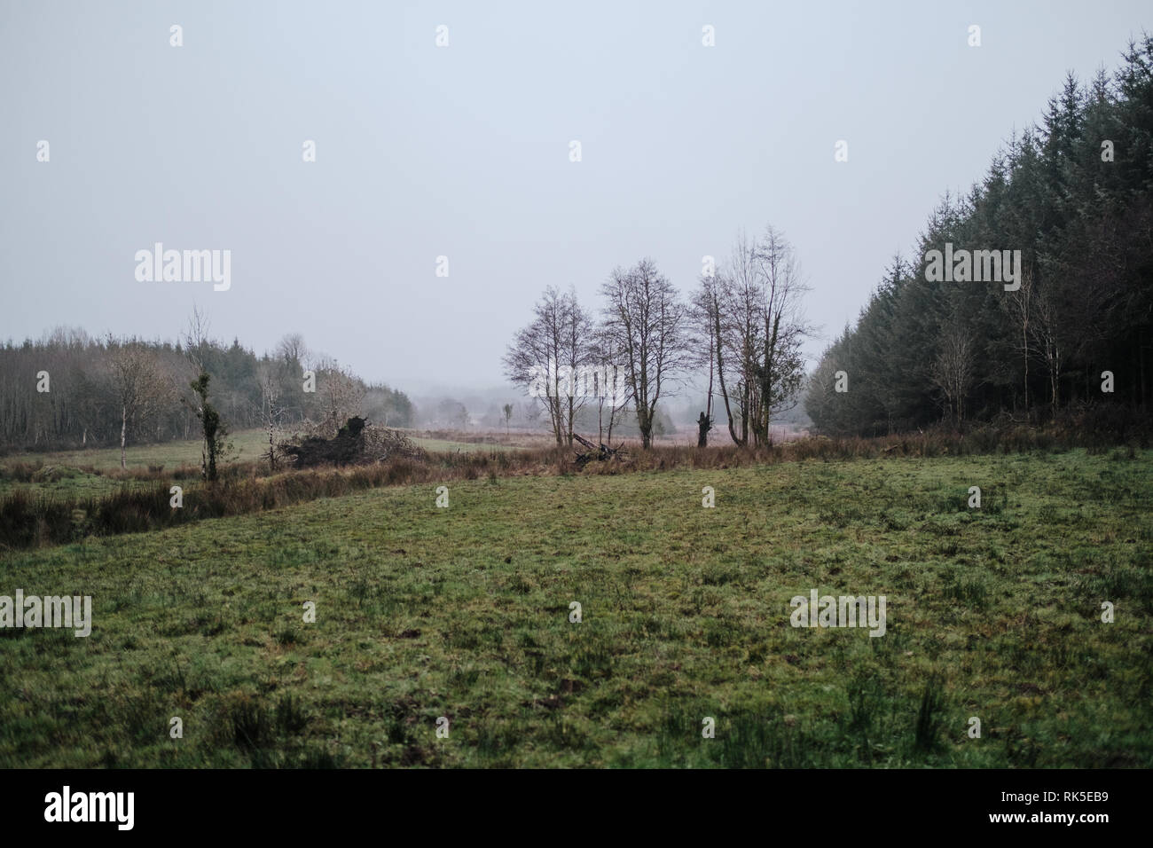 Banal landscape hi-res stock photography and images - Alamy