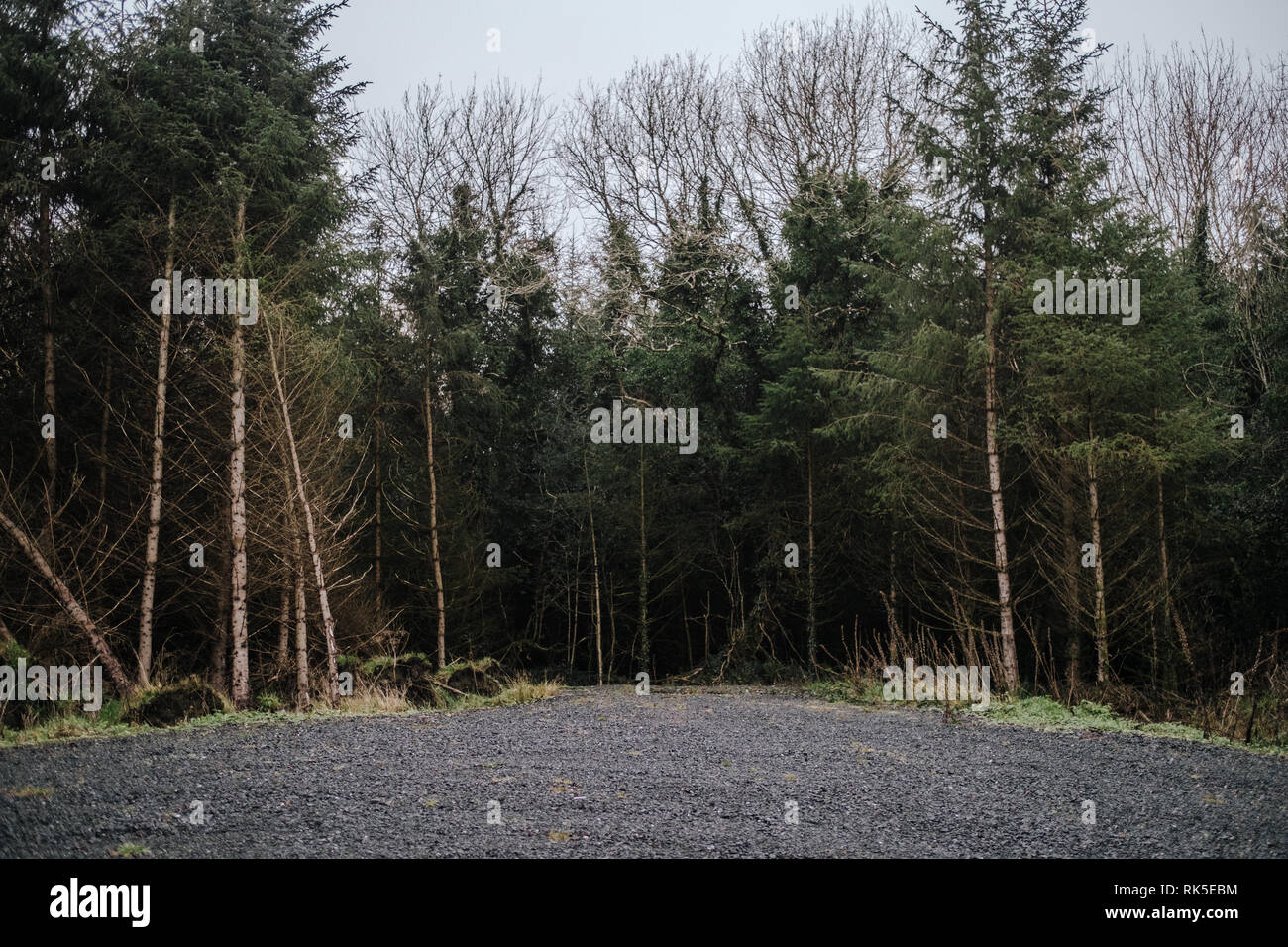 Foggy weather landscapes in Ireland Stock Photo - Alamy