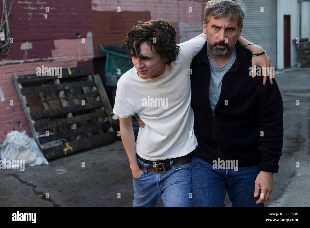 Beautiful boy timothee chalamet still hi-res stock photography and ...
