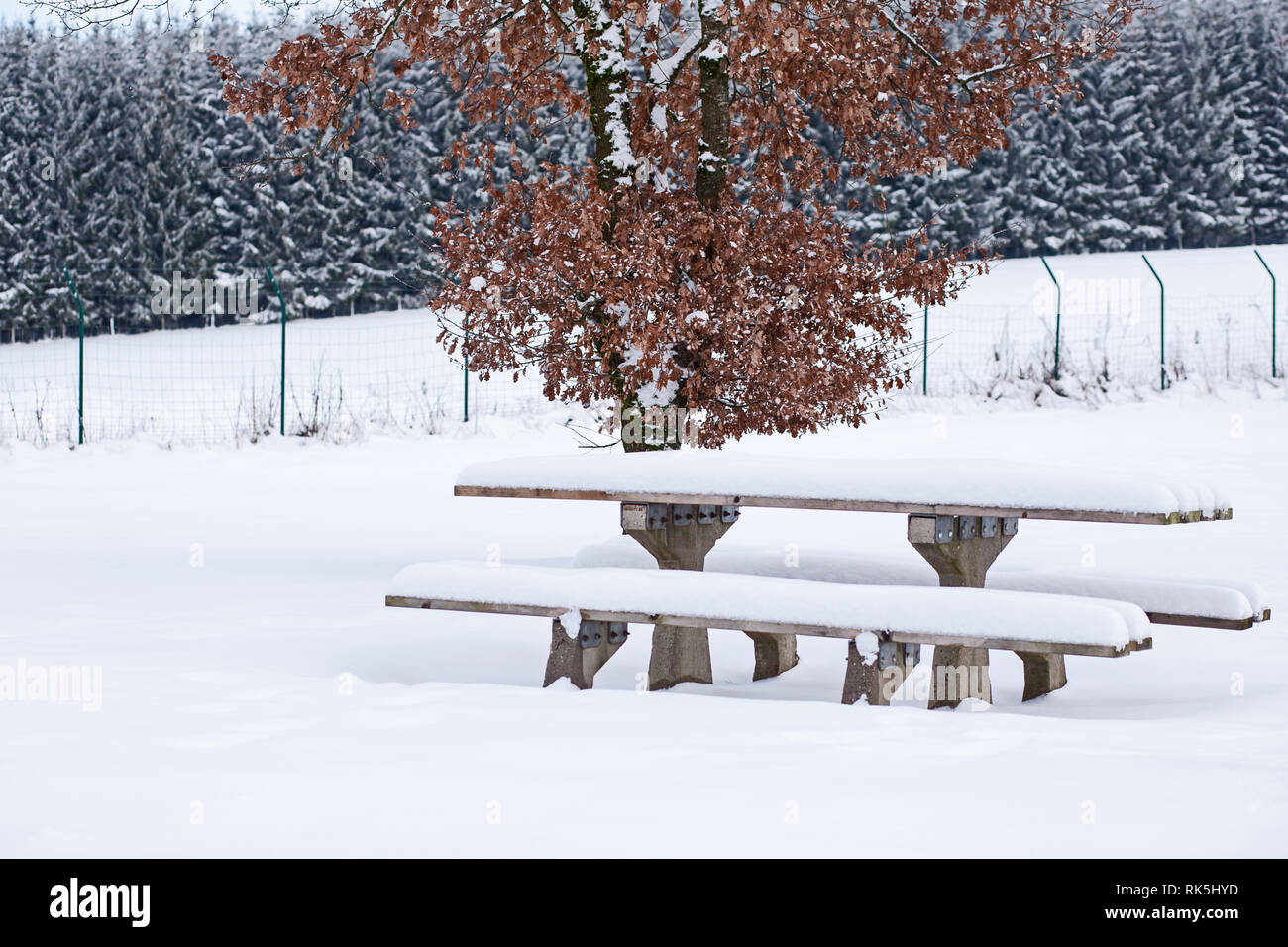 Snow covered picnic bench Stock Photo - Alamy