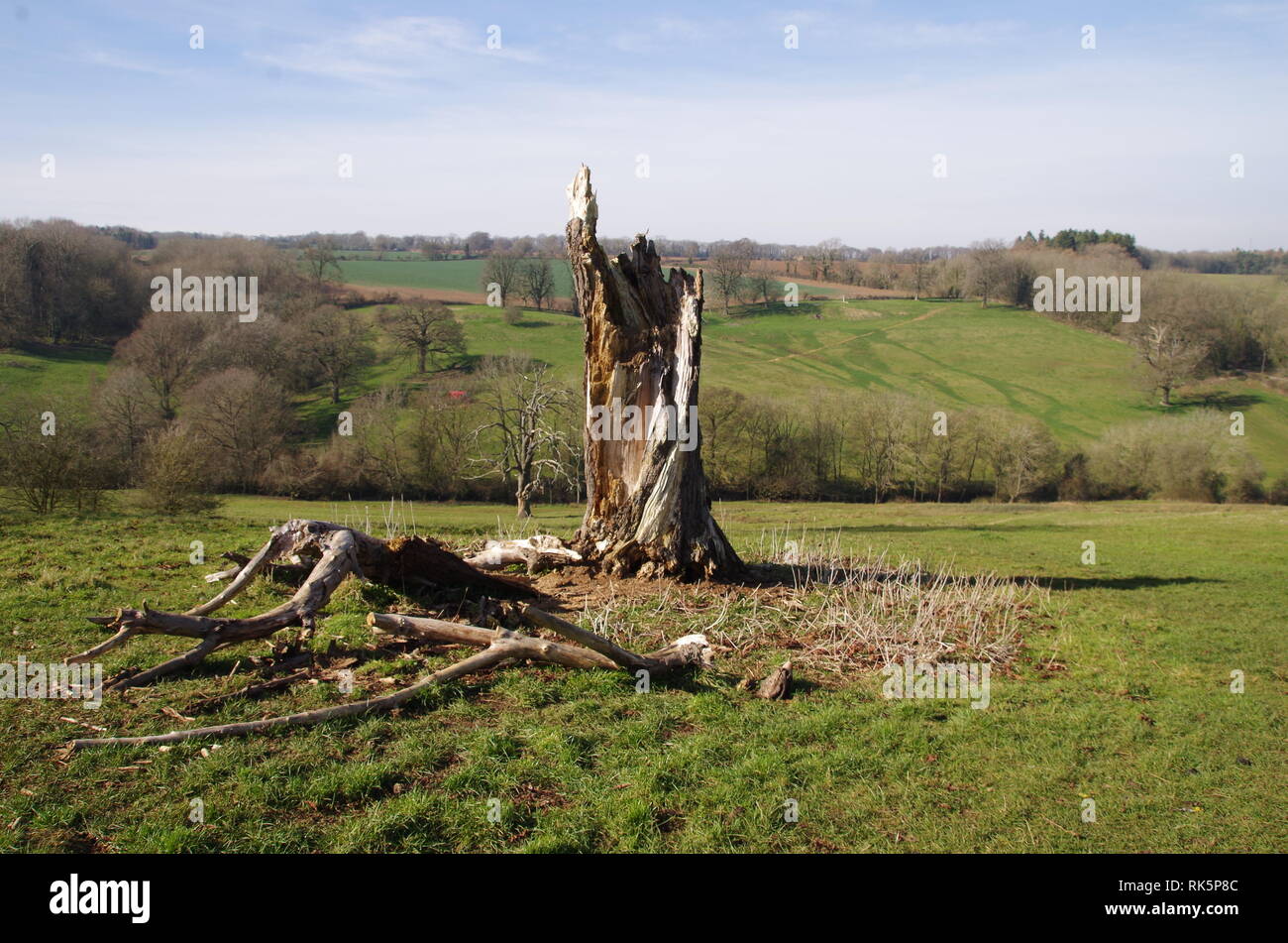 Northwick Estate. The Donnington Way. Gloucestershire. Cotswolds ...