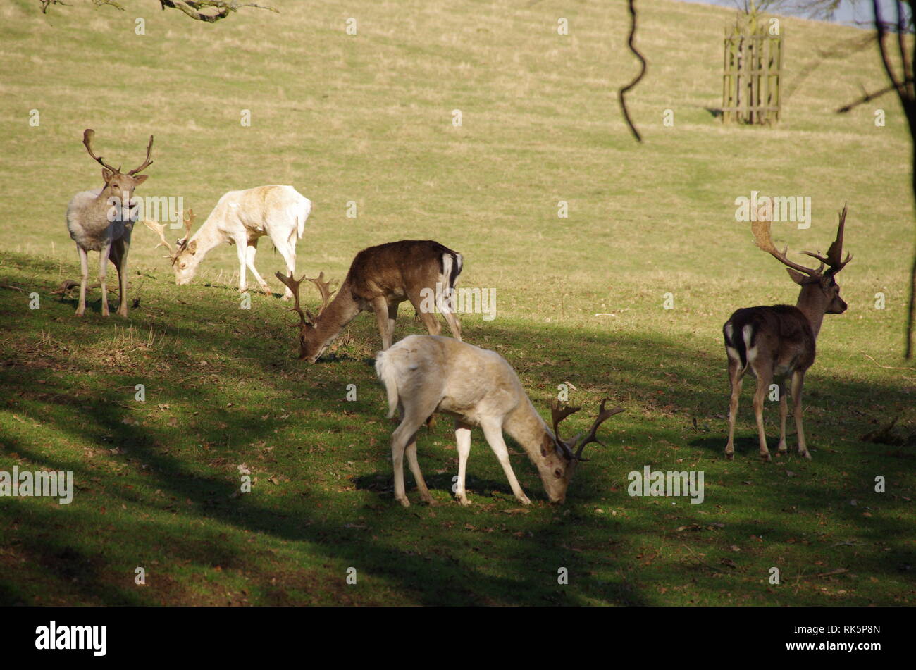 Northwick Estate. The Donnington Way. Gloucestershire. Cotswolds ...