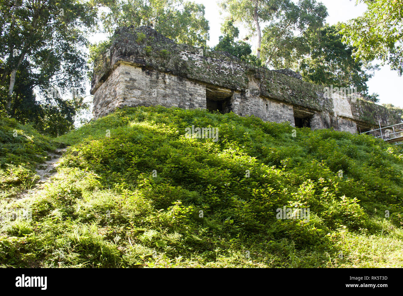Tikal (Guatemala) temple in the Jungle Stock Photo - Alamy