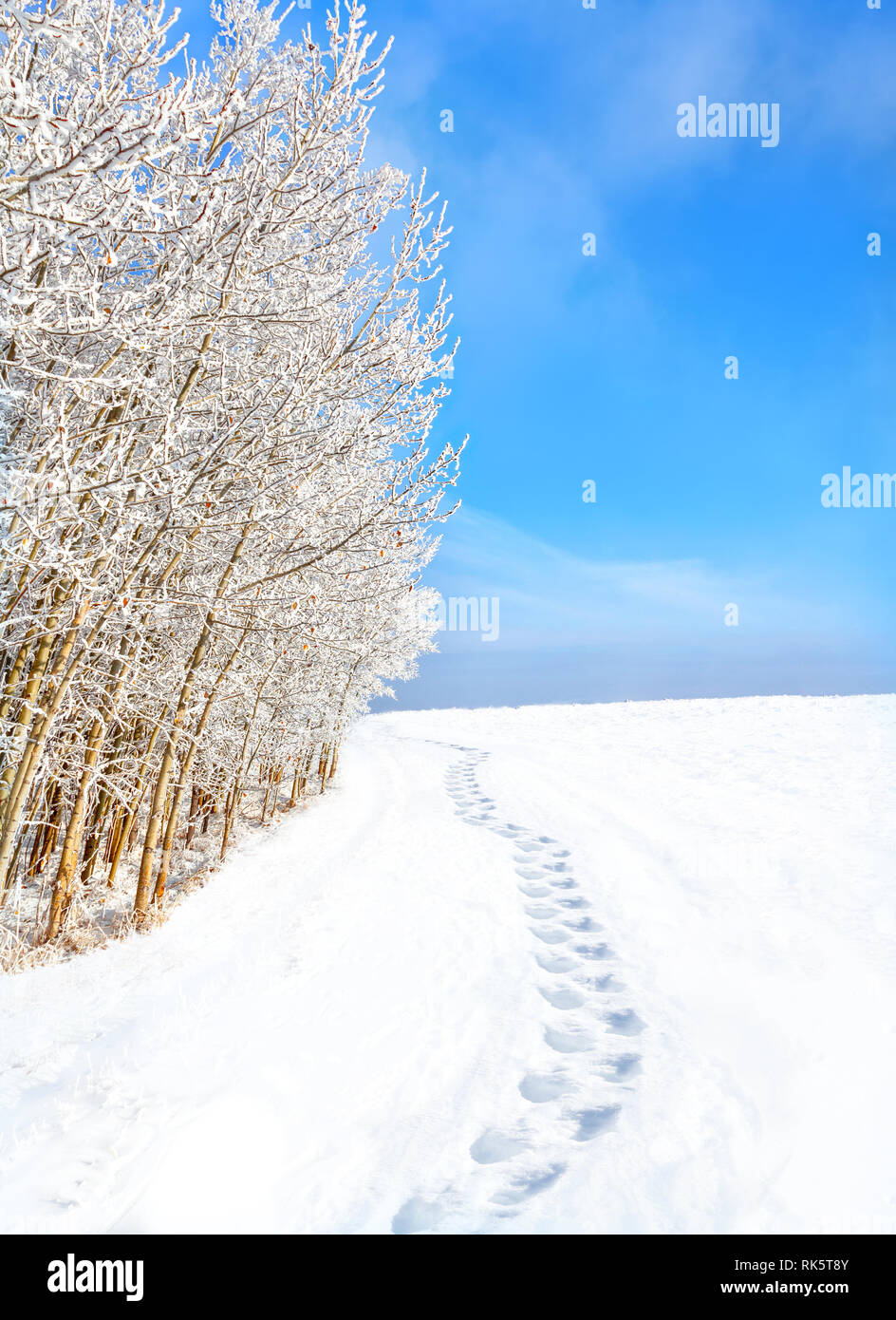 Heavy footprints hi-res stock photography and images - Alamy