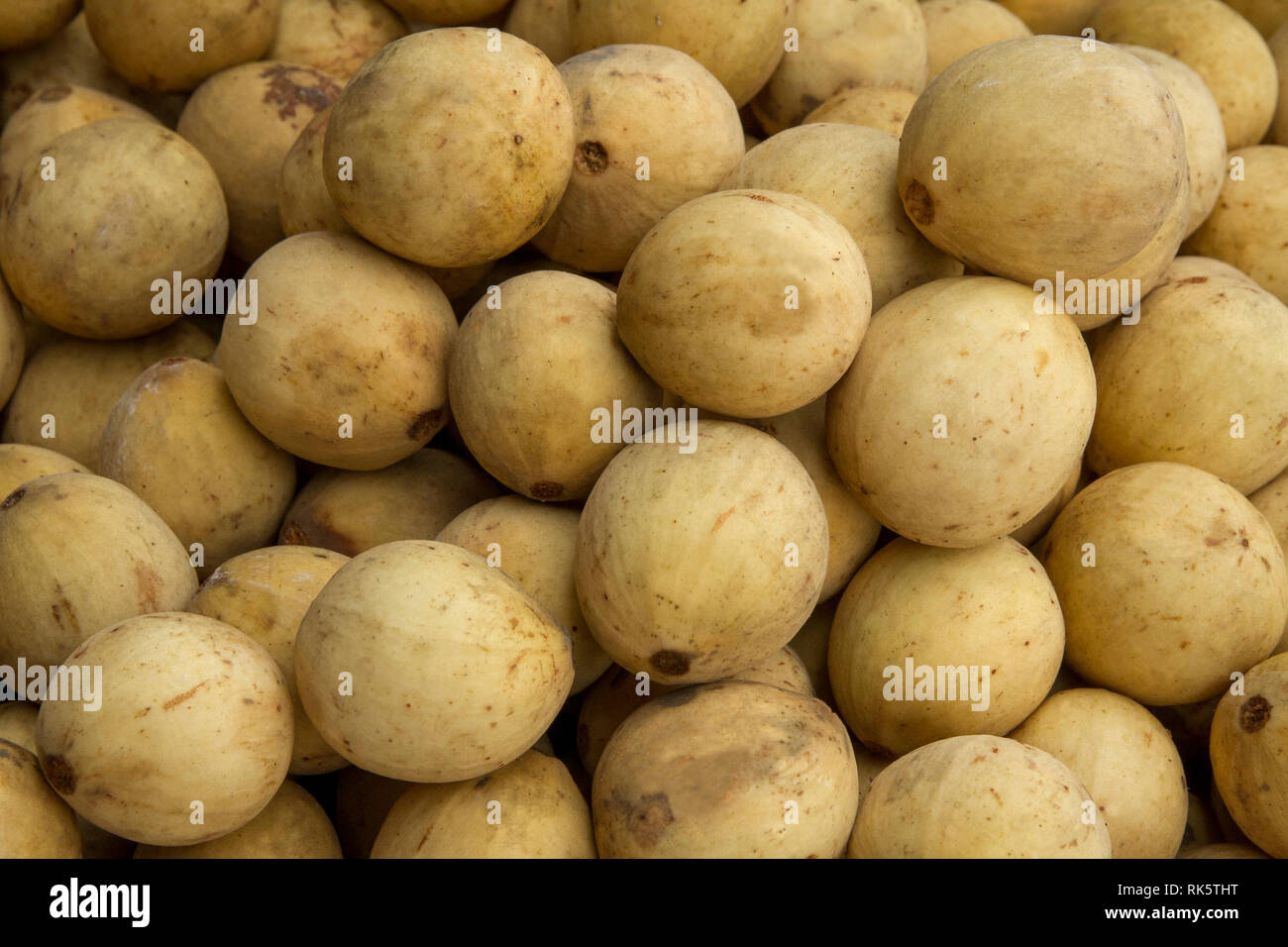 Tropical fruit, duku or Langsat, lansium domesticum corr Stock Photo ...