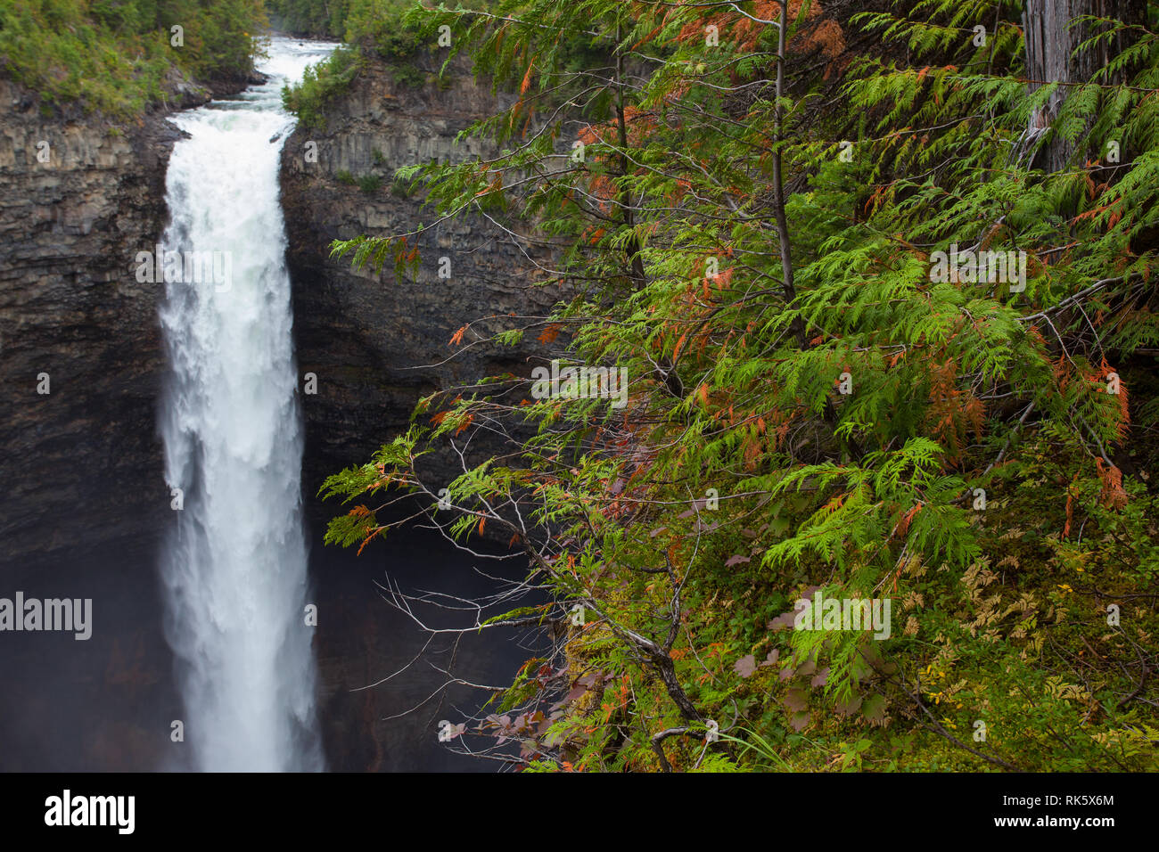 Wells Gray Provincial Park, Thompson-Nicola, British Columbia, Canada ...