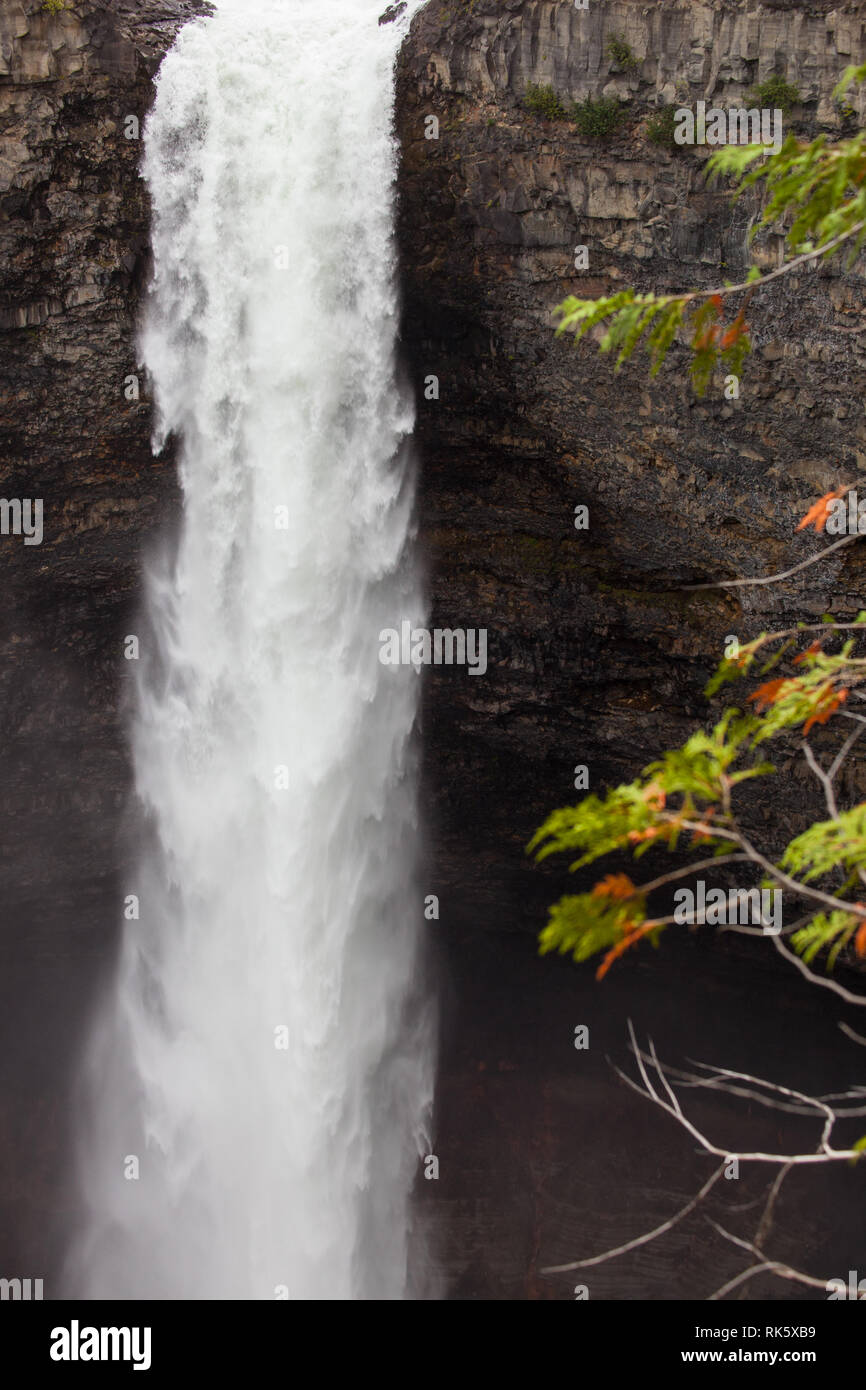 Wells Gray Provincial Park, Thompson-Nicola, British Columbia, Canada ...