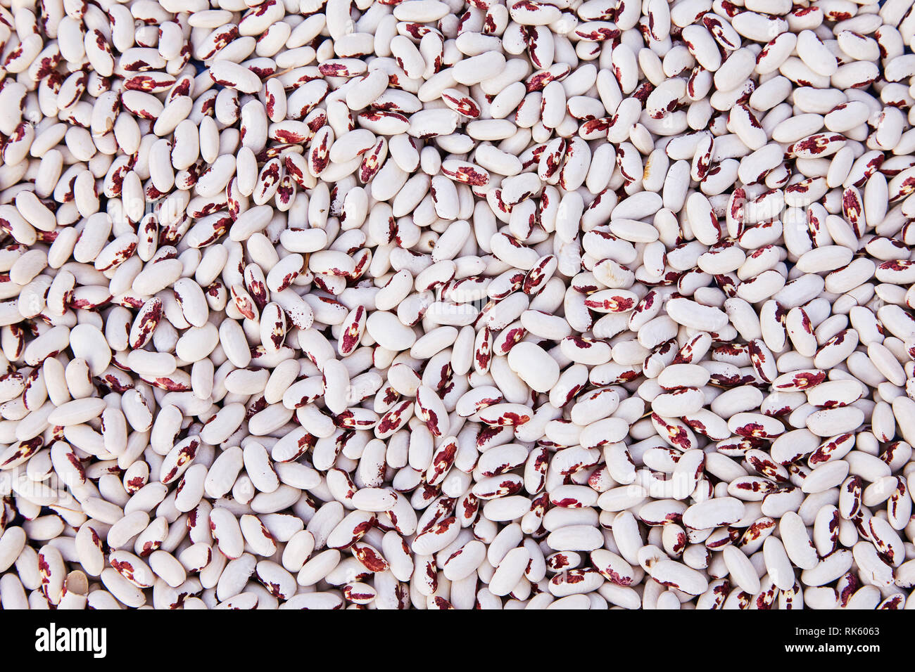 Delicious mottled, raw common beans, haricot, white pea, white kidney ...