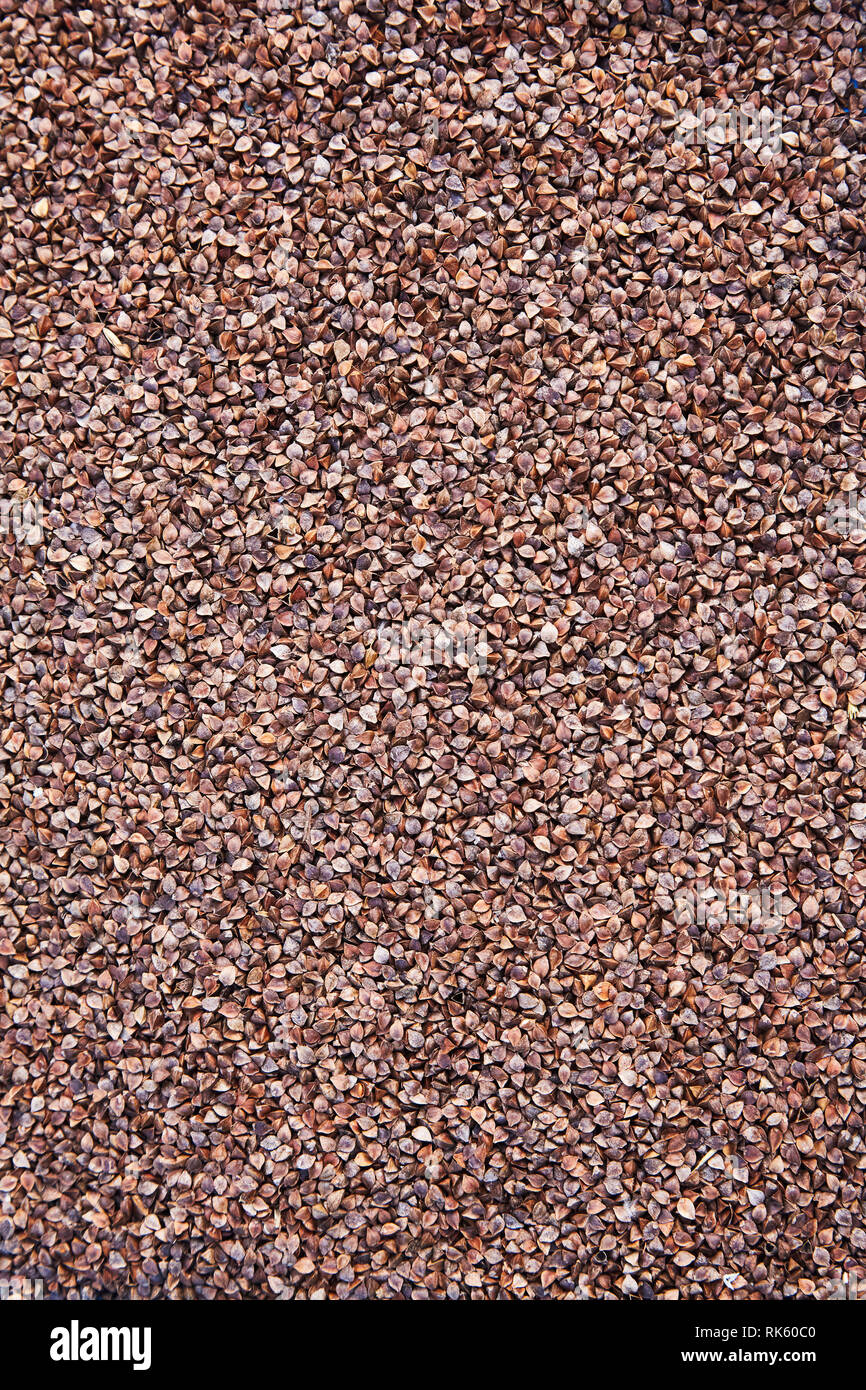 Dark Buckwheat texture. buckwheat groats in skin (in shell Stock Photo ...