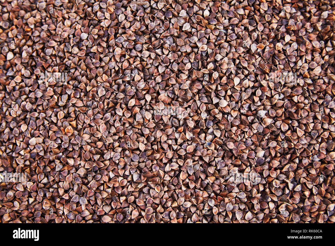 Dark Buckwheat texture. buckwheat groats in skin (in shell Stock Photo ...