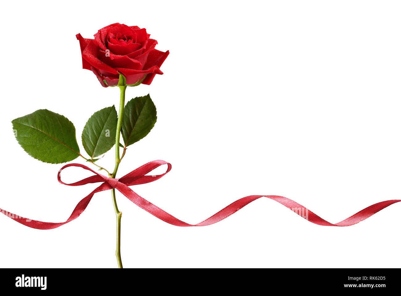Smal red silk ribbon bow and red rose flower isolated on white Stock ...