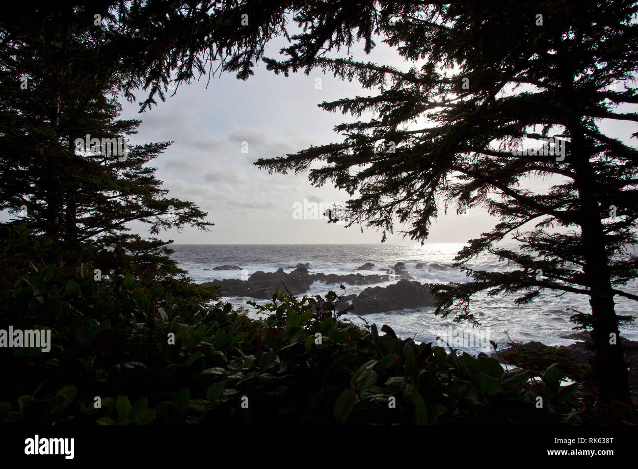 Bc canada ucluelet hi-res stock photography and images - Alamy