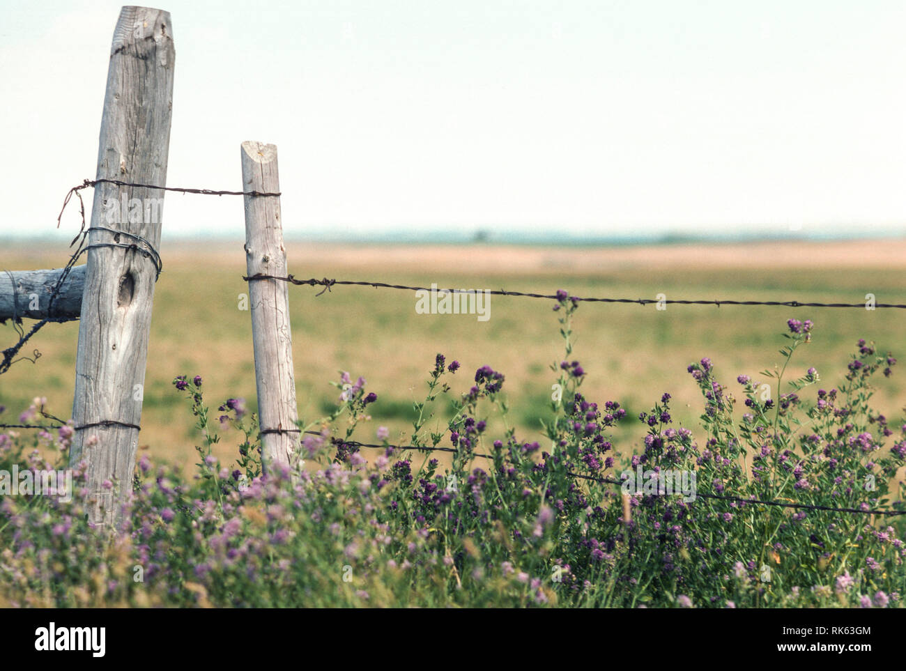 Wide open spaces serene hi-res stock photography and images - Alamy