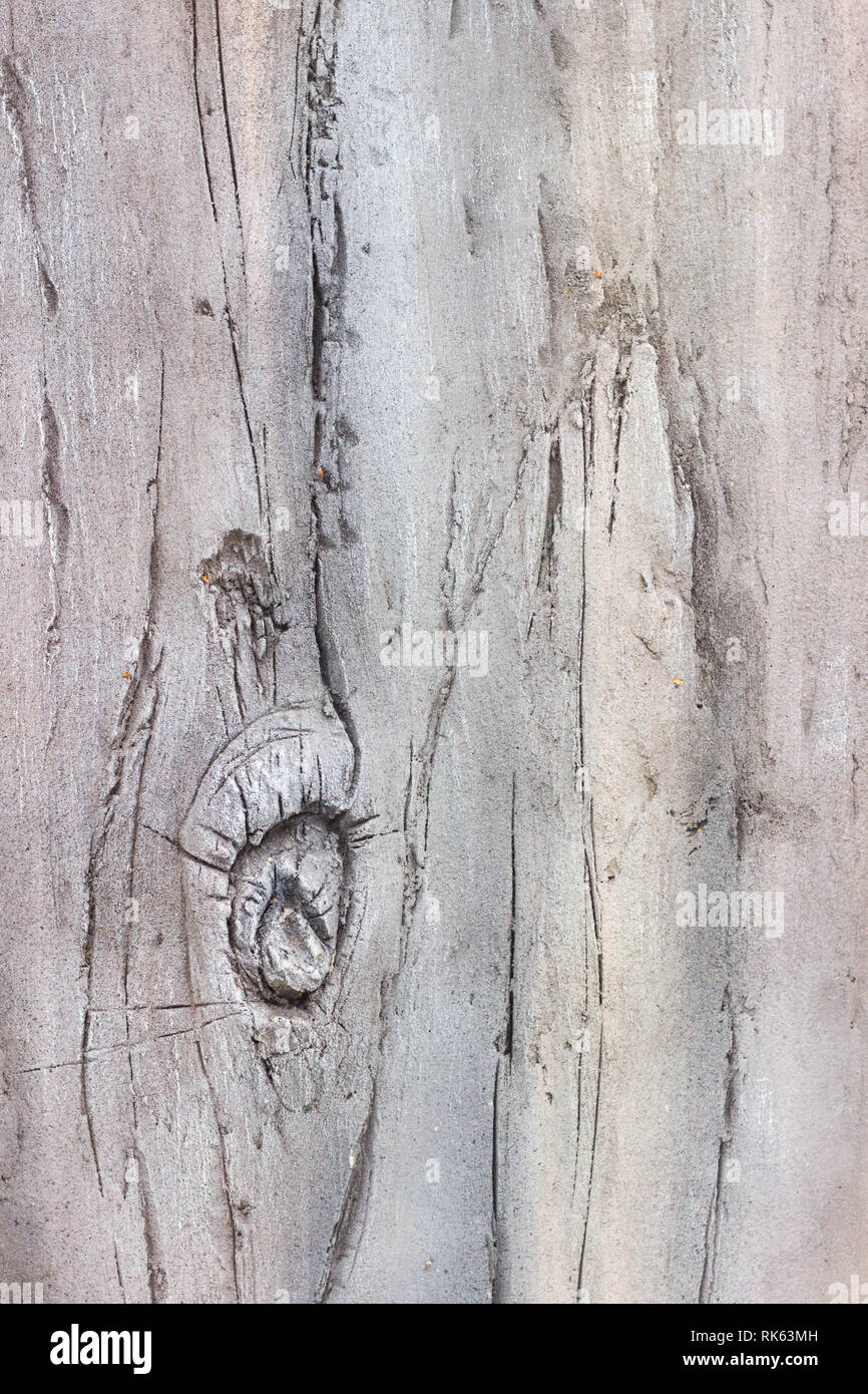 Artificial wood and bark. Imitation of wood bark with concrete ...