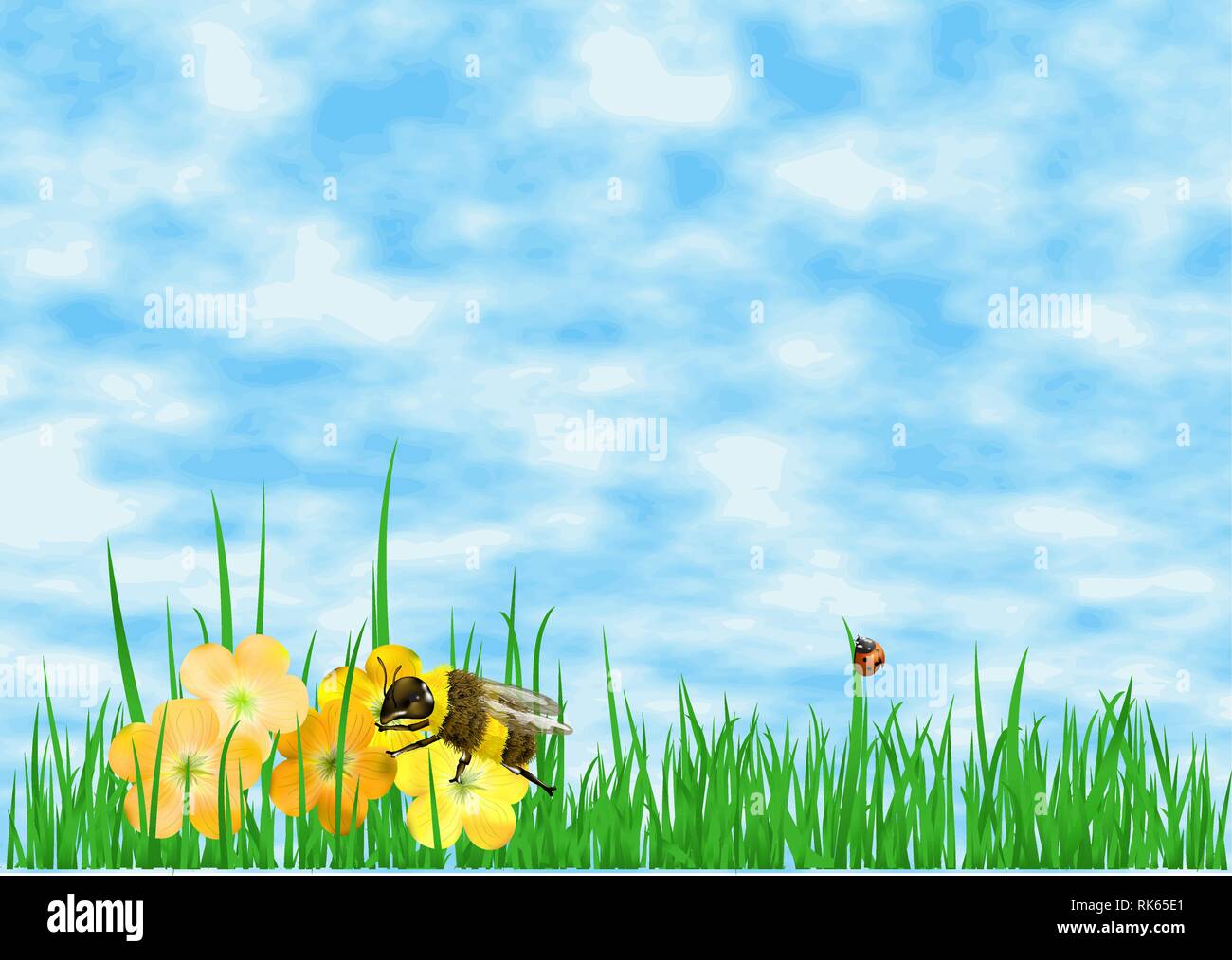 Green meadow flowers in Stock Vector Images - Alamy