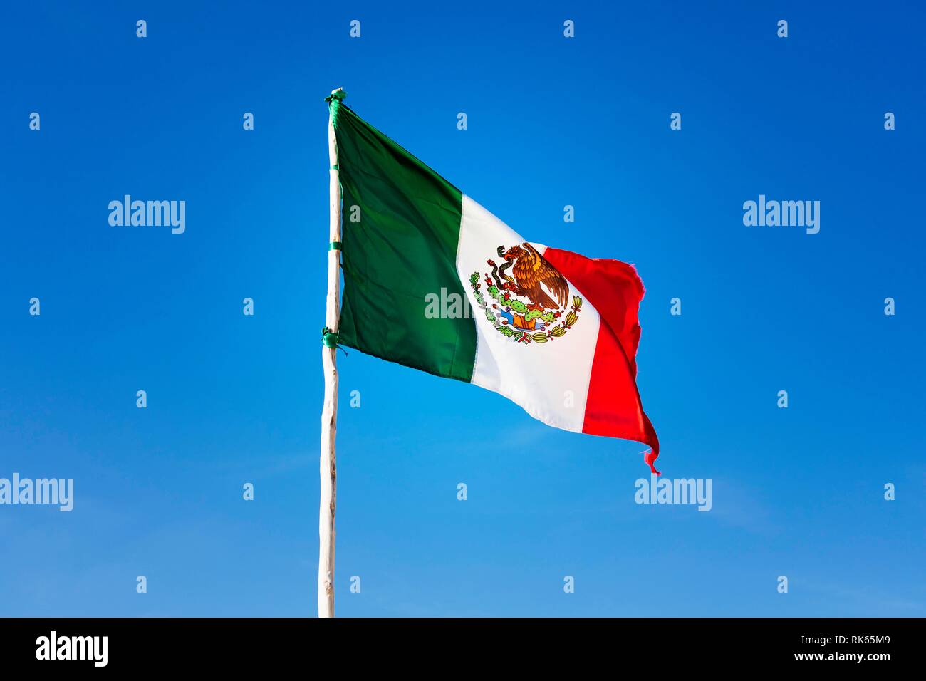 Mexican national flag of Mexico flapping in the wind against a ...