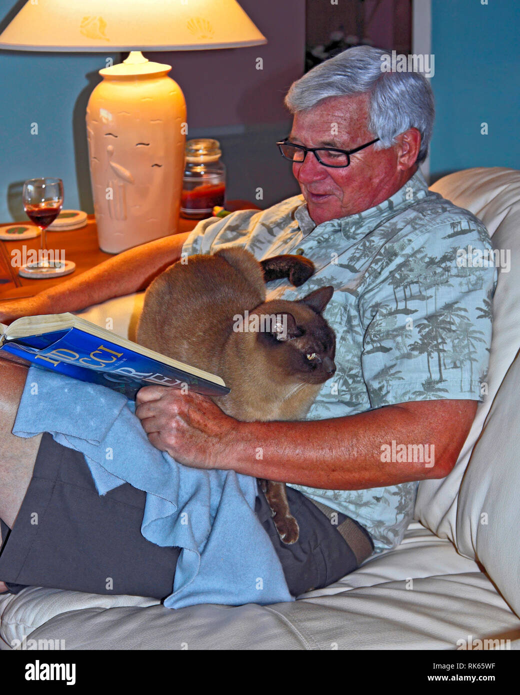 Mr light hi-res stock photography and images - Alamy