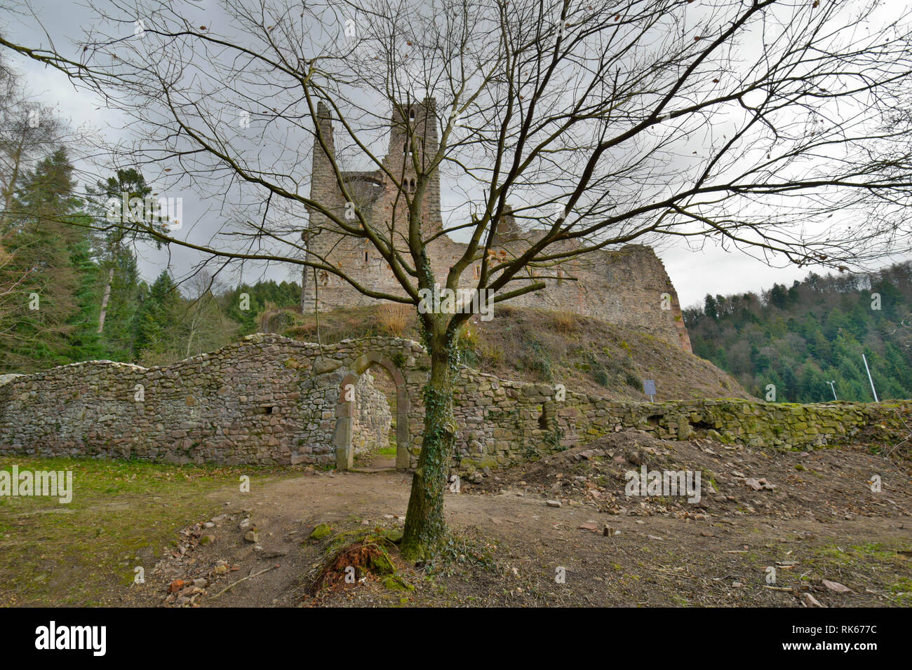 Castle ruin Schauenburg in Oberkirch in the Black Forest in Germany ...