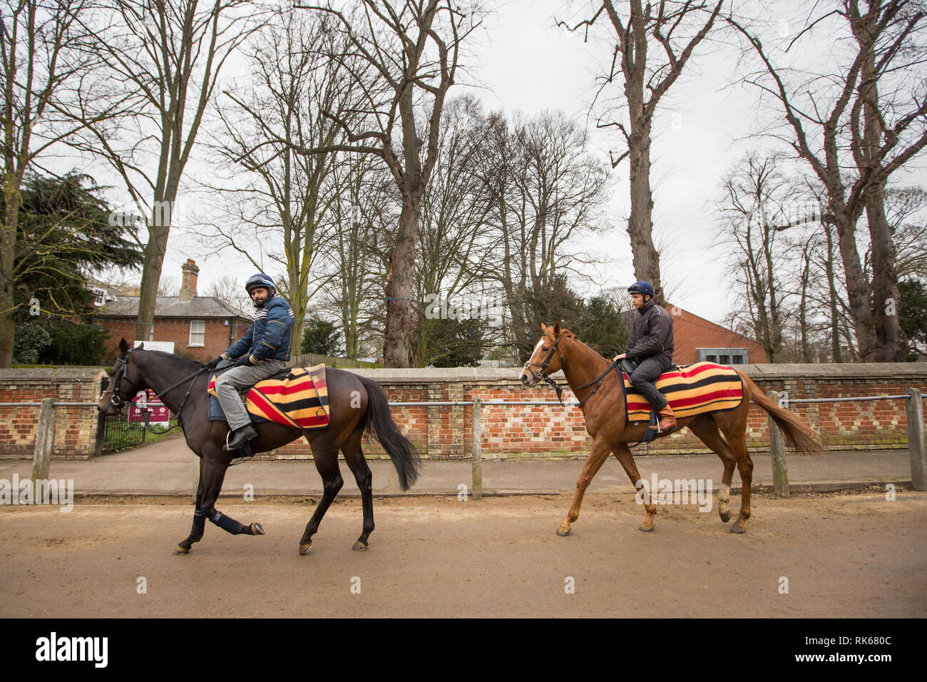 Racehorse gallops newmarket jump hi-res stock photography and images ...