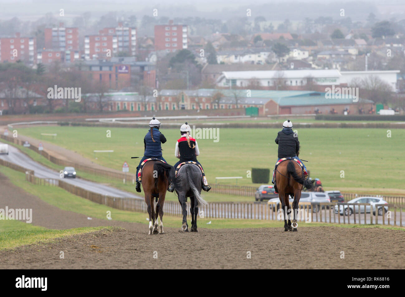 Racehorse gallops newmarket jump hi-res stock photography and images ...