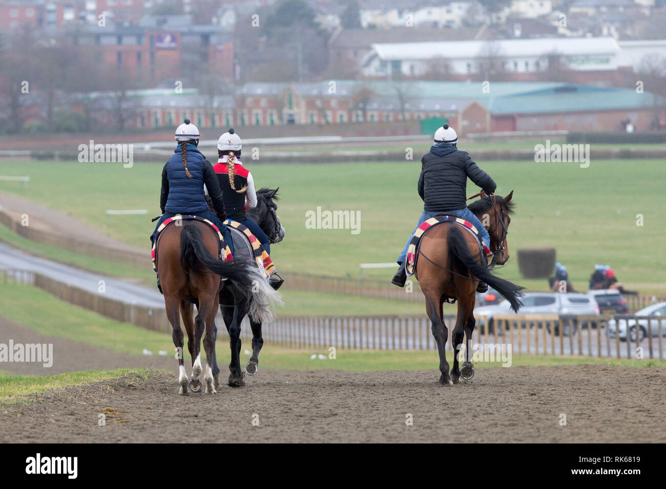 Racehorse gallops newmarket jump hi-res stock photography and images ...