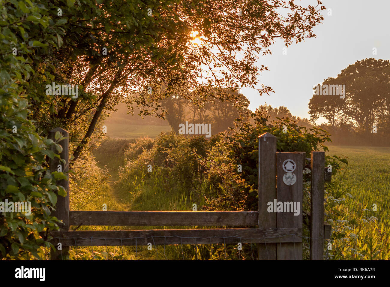 Sunset in the English Countryside Stock Photo - Alamy