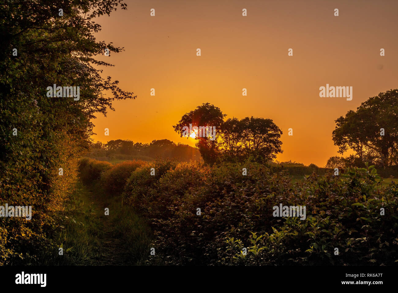 English rural summer scene hi-res stock photography and images - Alamy