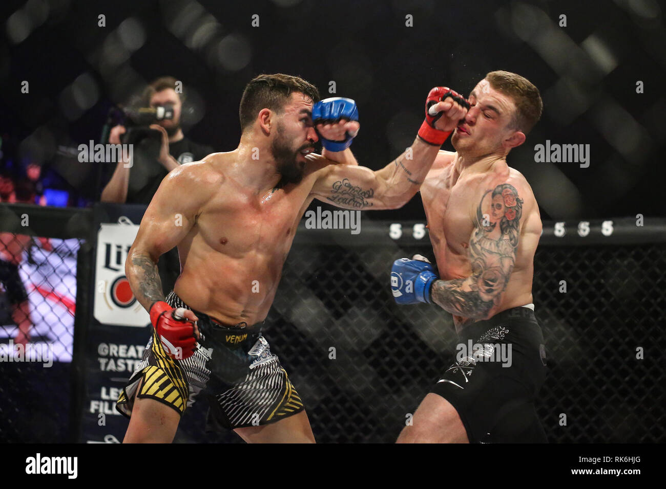 Uk Muaythai High Resolution Stock Photography and Images - Alamy