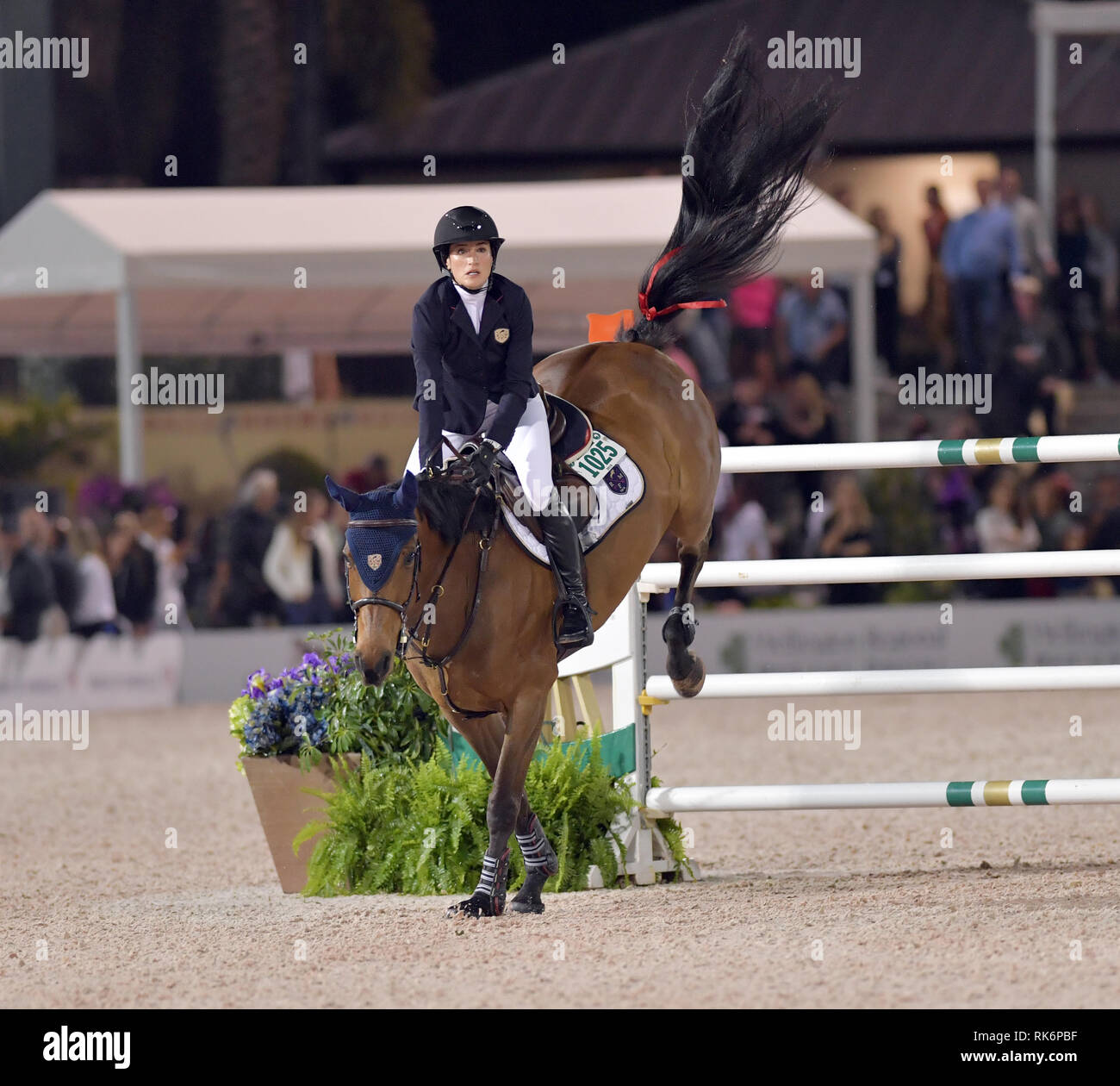 Florida, USA. 9th Feb 2019. Jessica Rae Springsteen seen happy and ...