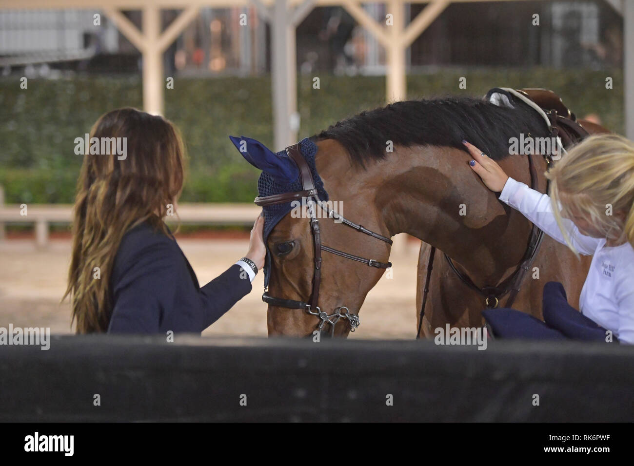 Florida, USA. 9th Feb 2019. Jessica Rae Springsteen seen happy and ...