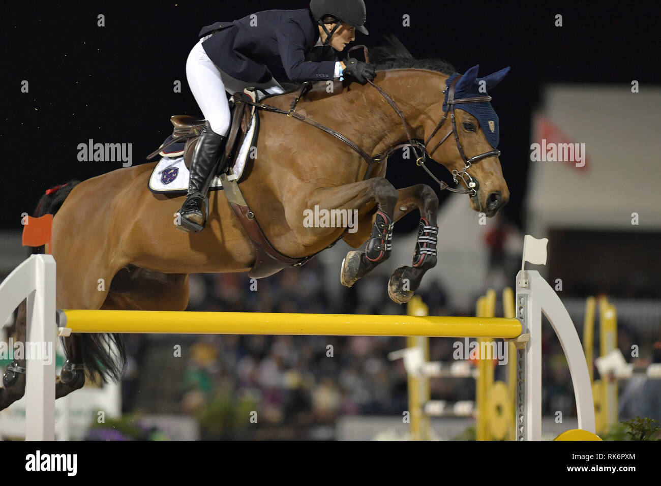 Florida, USA. 9th Feb 2019. Jessica Rae Springsteen seen happy and ...