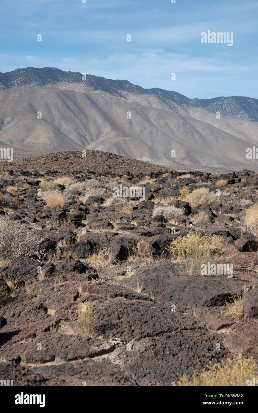 Lava vegetation hi-res stock photography and images - Alamy