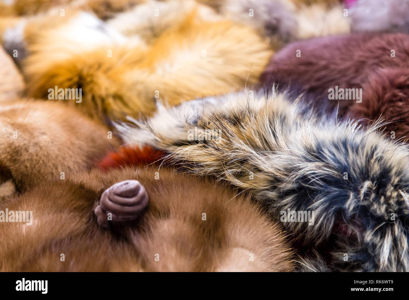 closeup of different kinds of furs Stock Photo - Alamy