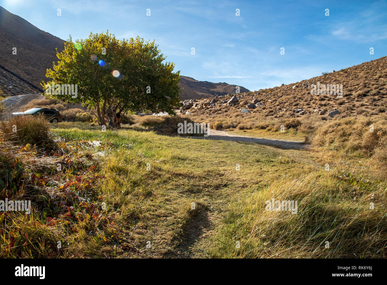 Car parked under tree hi-res stock photography and images - Alamy